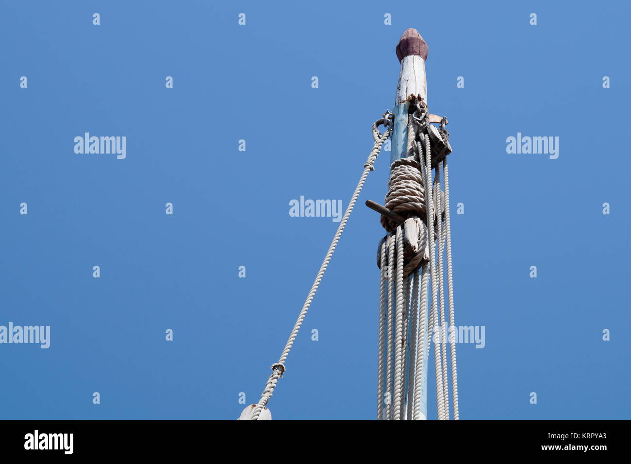 tree with nautical ropes Stock Photo - Alamy