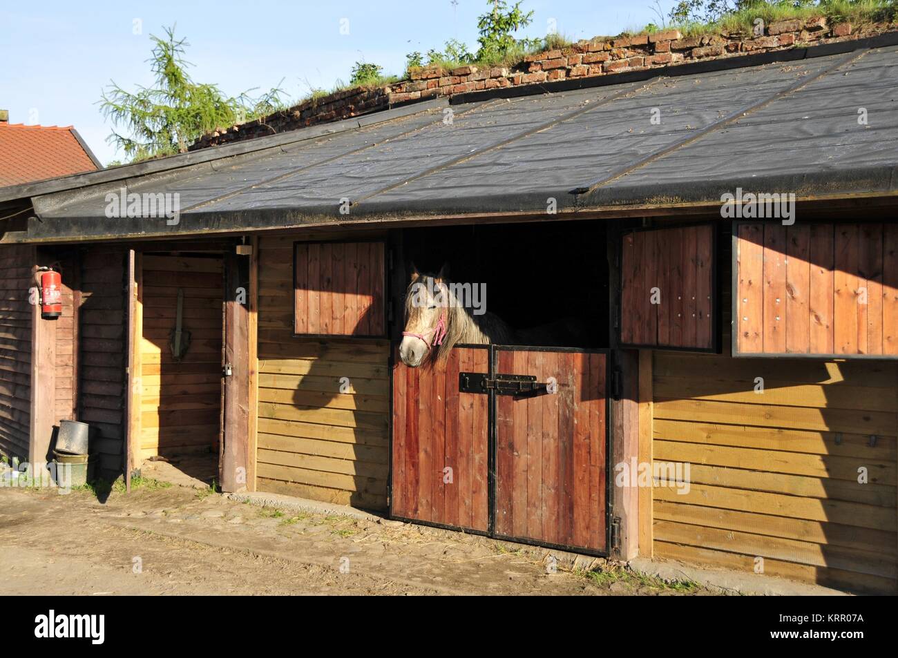 Medieval horse stable hi-res stock photography and images - Alamy