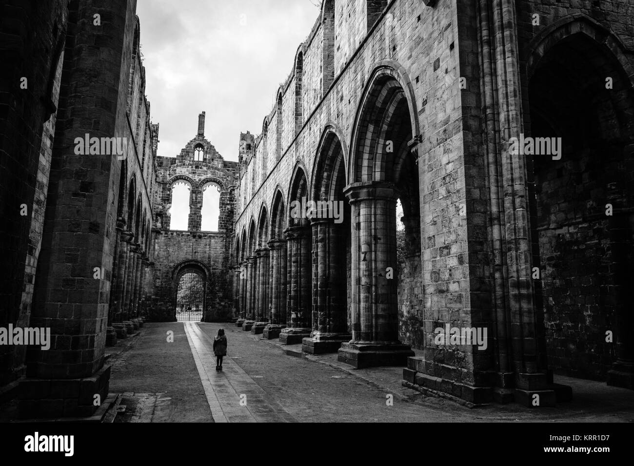 Kirkstall Abbey, Leeds, West Yorkshire, England, UK Stock Photo - Alamy