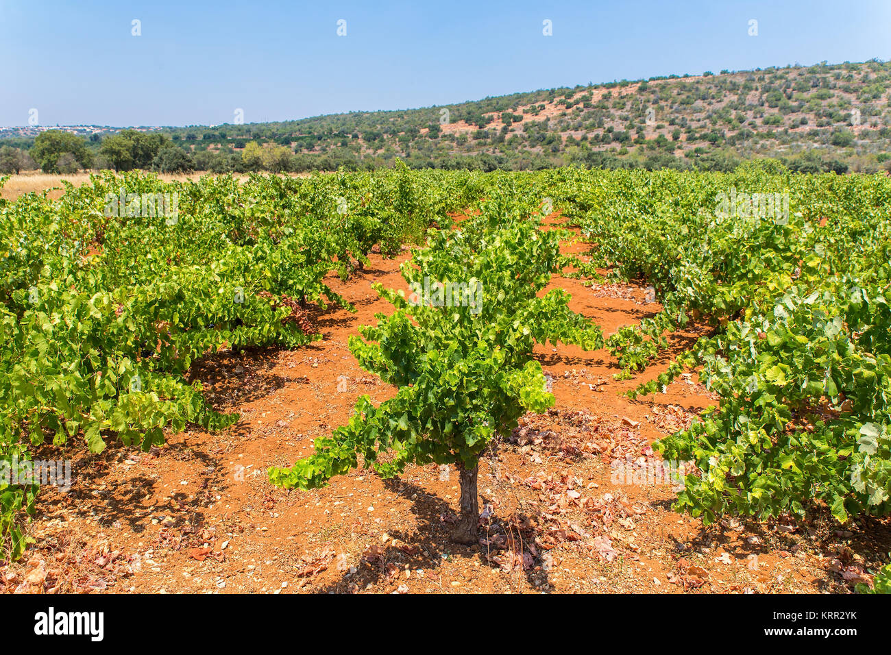 Agriculture in portugal hi-res stock photography and images - Alamy
