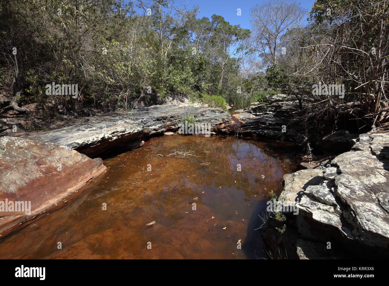 The landscape of the Caatinga in Brazil Stock Photo - Alamy