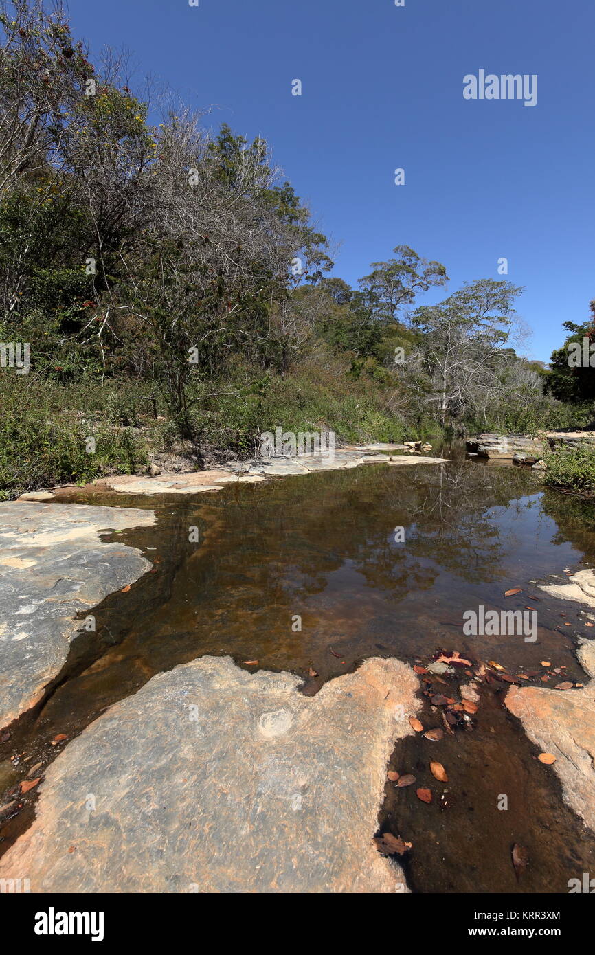 The landscape of the Caatinga in Brazil Stock Photo - Alamy