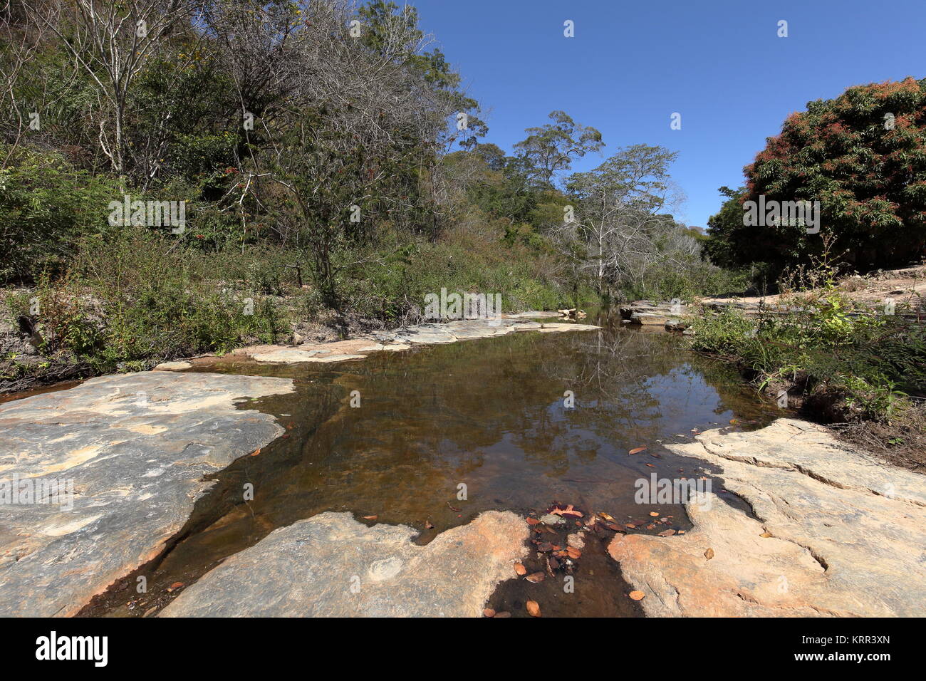 the landscape of the caatinga in brazil Stock Photo - Alamy