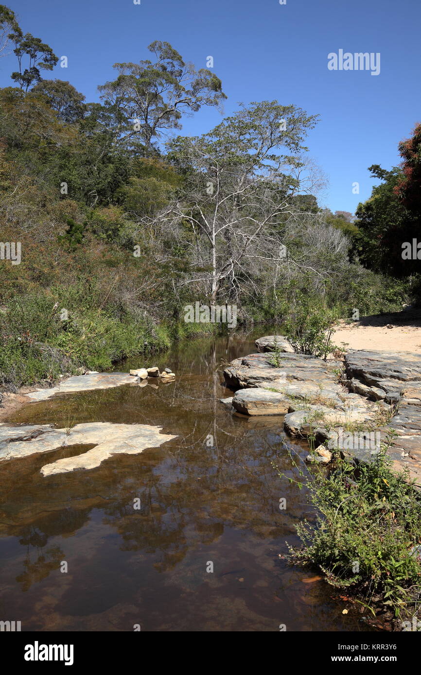 the landscape of the caatinga in brazil Stock Photo - Alamy