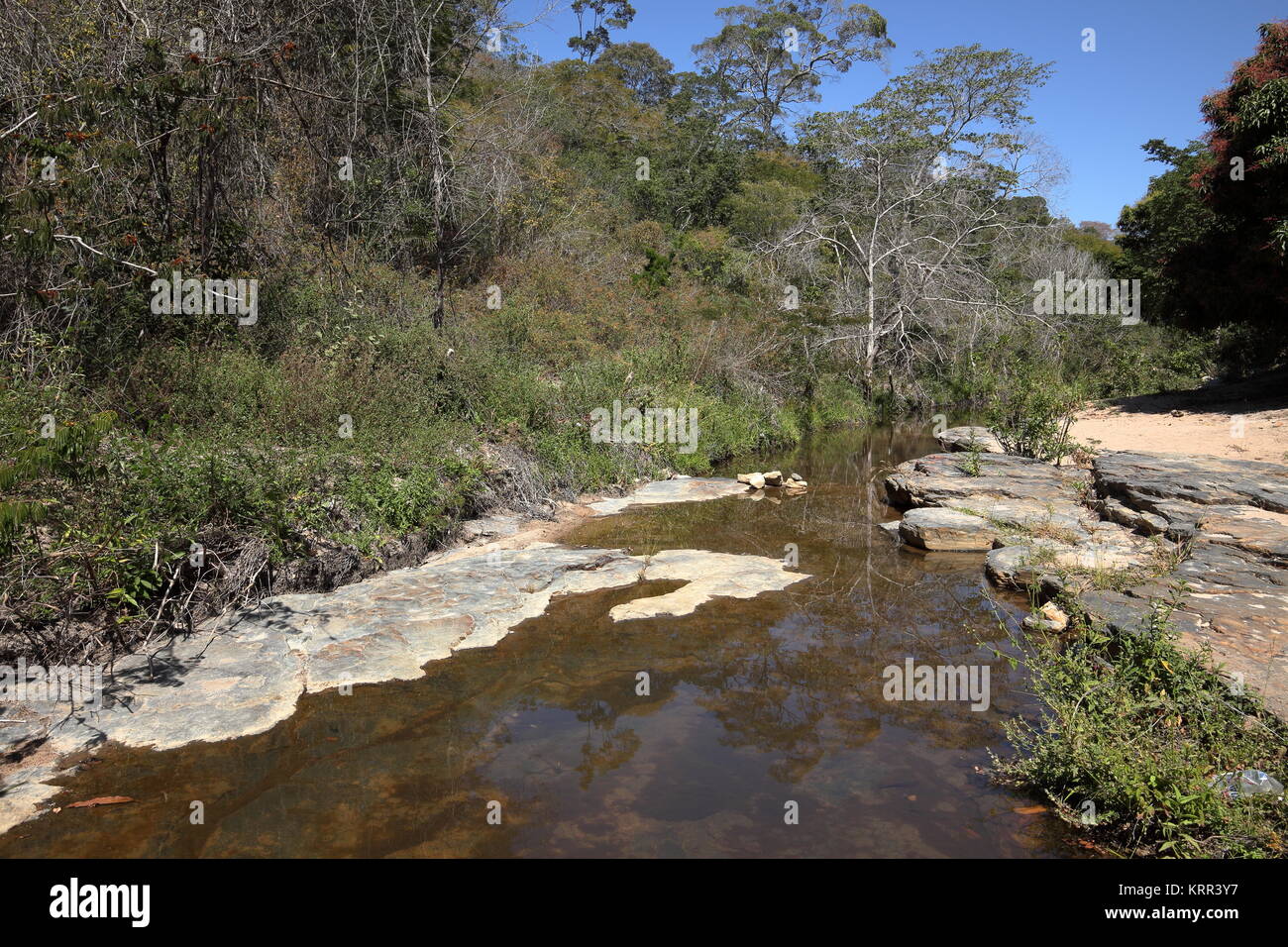 the landscape of the caatinga in brazil Stock Photo - Alamy