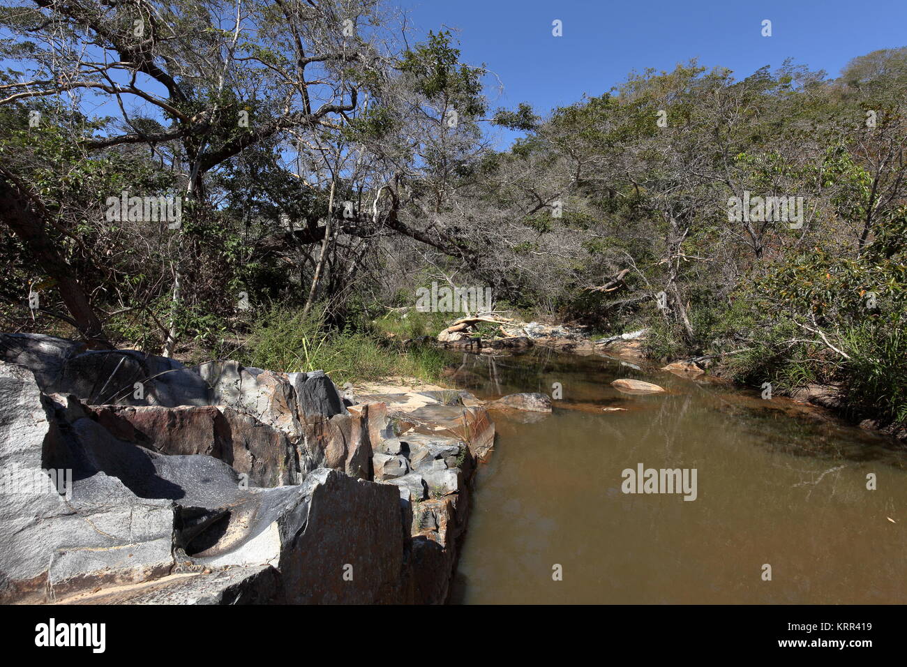 the landscape of the caatinga in brazil Stock Photo - Alamy