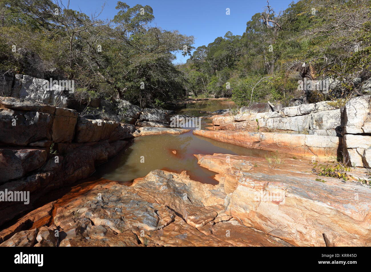 the landscape of the caatinga in brazil Stock Photo - Alamy