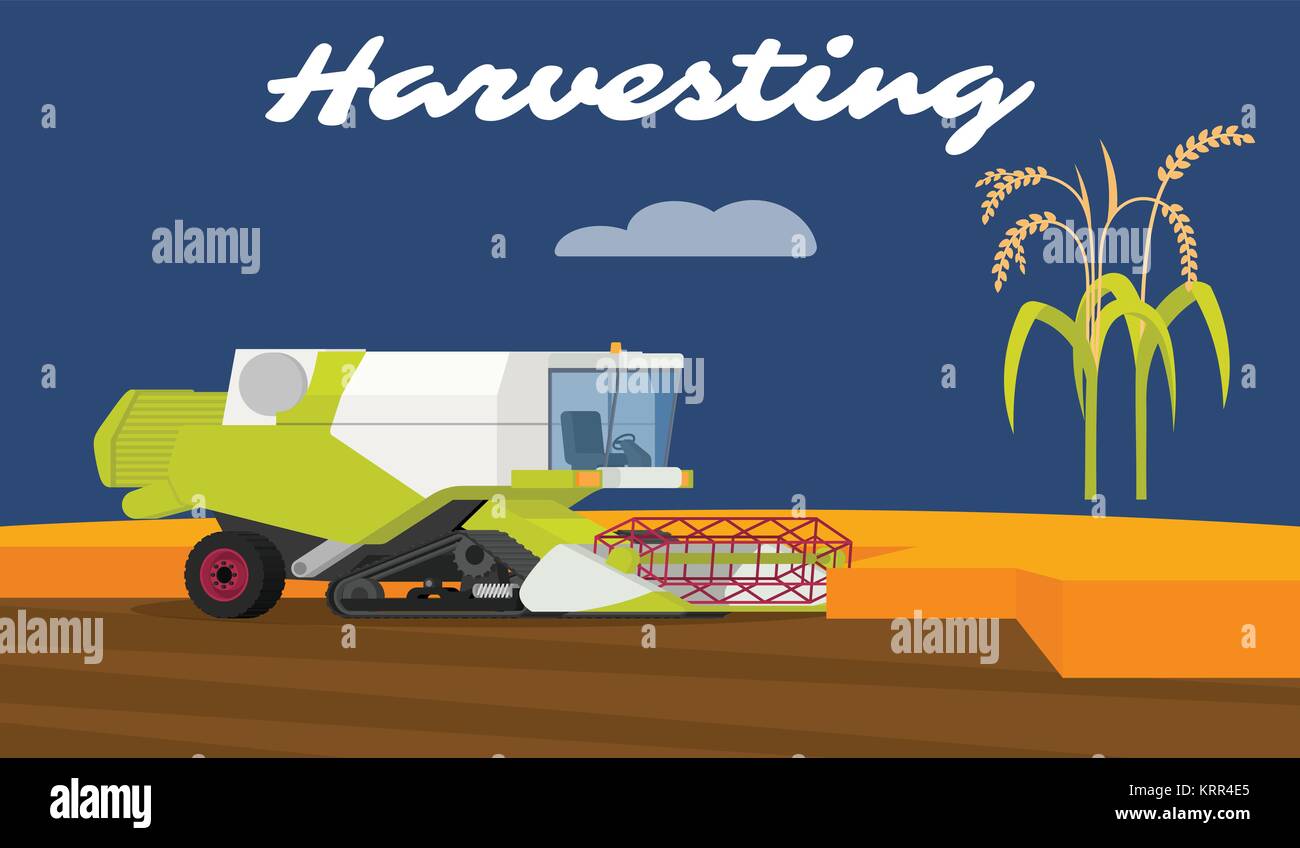 Modern combine harvester tractor working a rice field. Agriculture ...