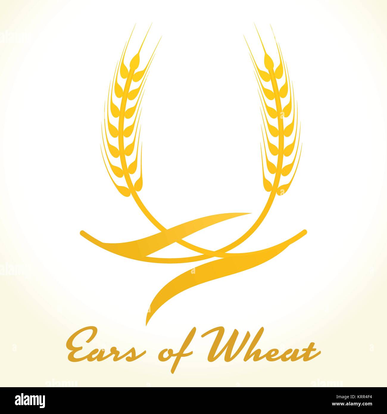Wheat ears or rice icon. Crop, barley or rye symbol isolated on white ...