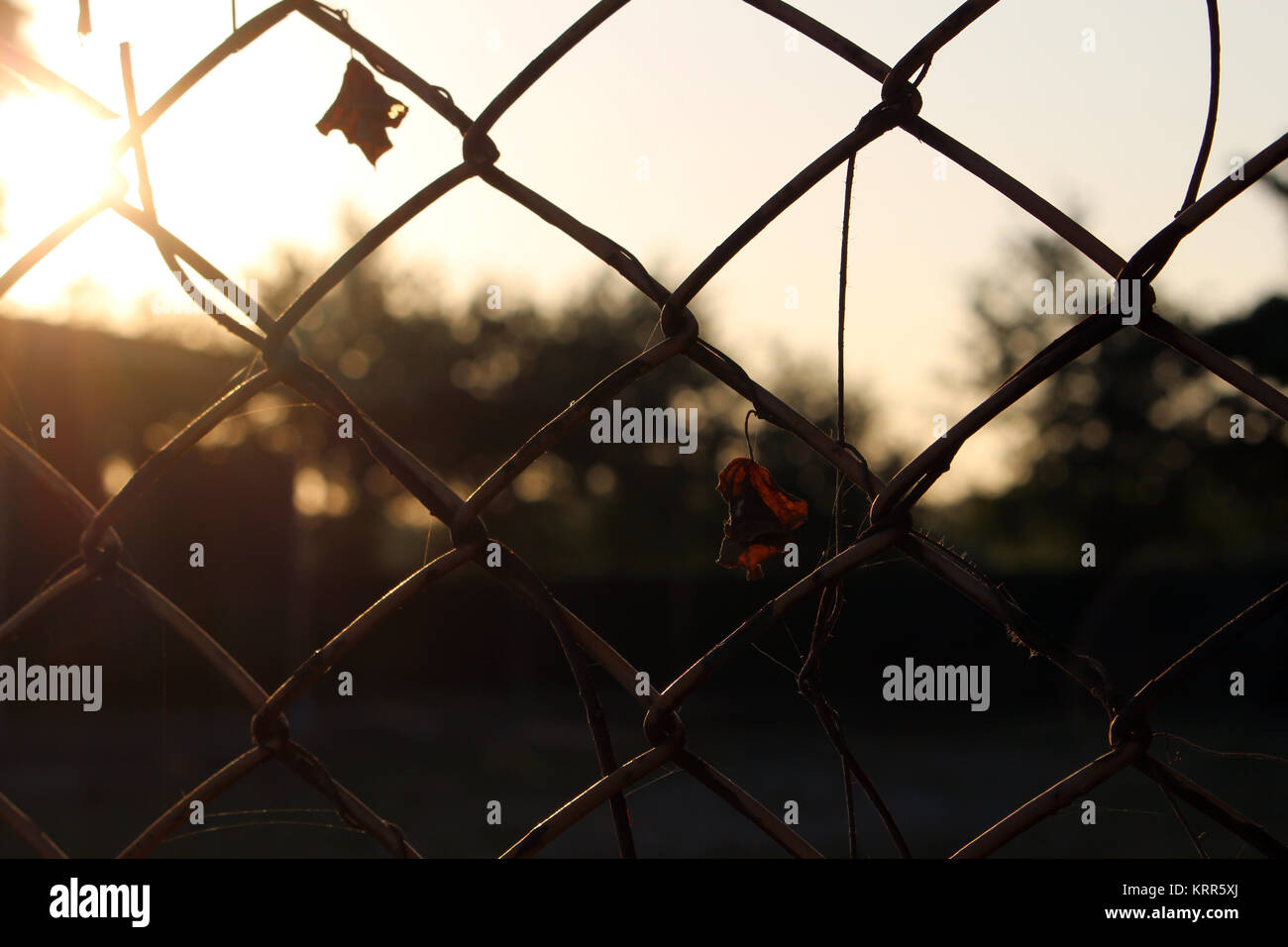 silhouette metal fence on sunset Stock Photo - Alamy