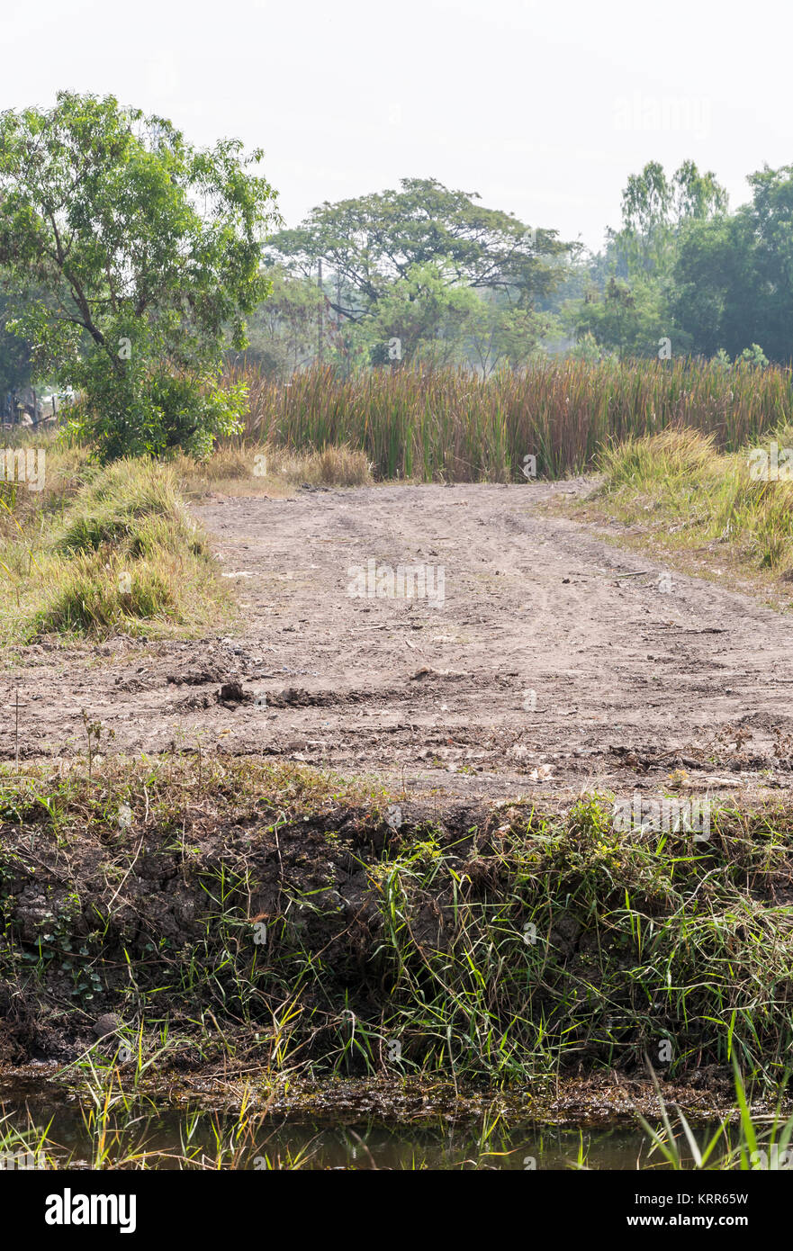 Dirt road through the grass field to the construction site for built ...