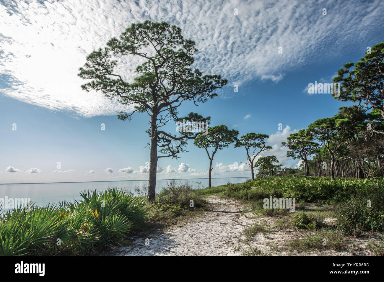 St. Joseph State Park, Florida Stock Photo - Alamy