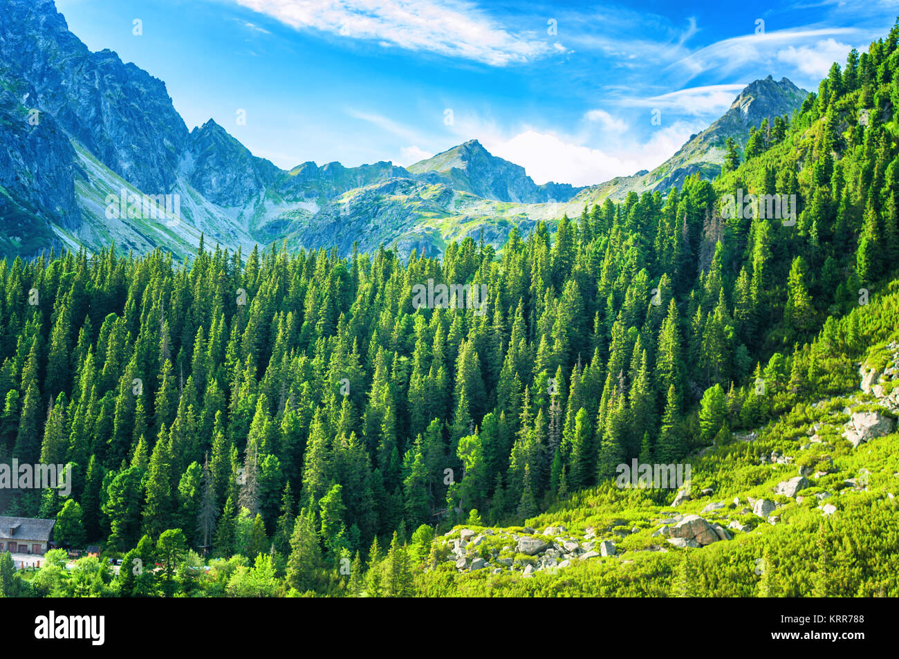 Mountains in High Tatras National Park, Slovakia Stock Photo - Alamy