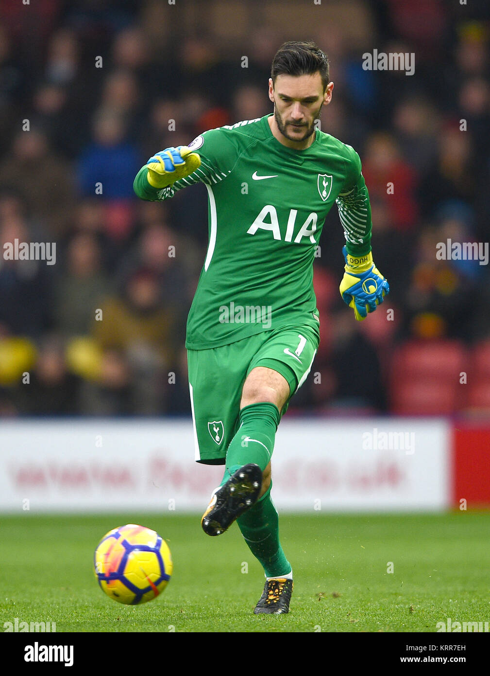 Tottenham Hotspur goalkeeper Hugo Lloris Stock Photo - Alamy