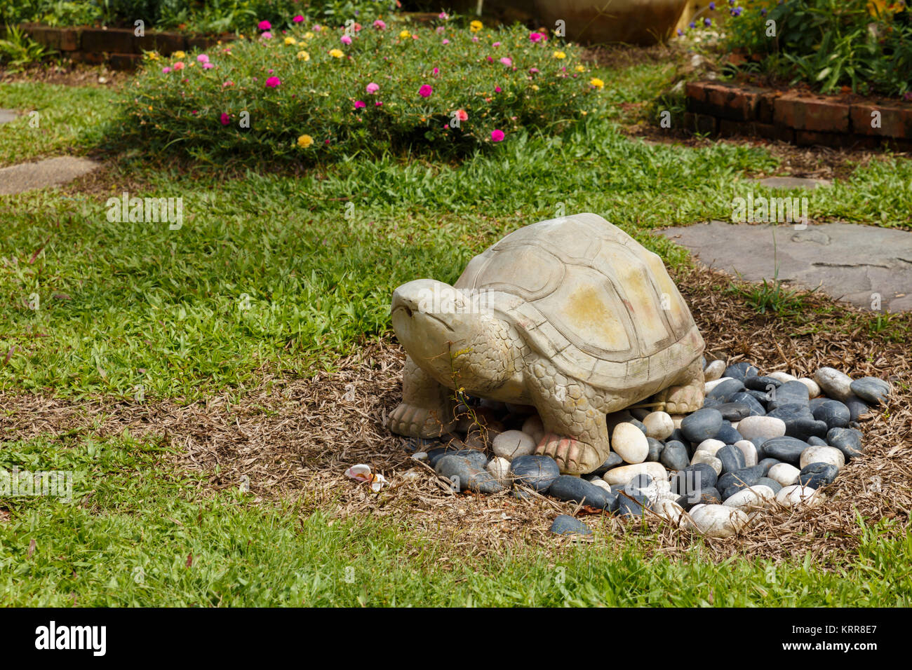 Decorative turtle art hi-res stock photography and images - Alamy