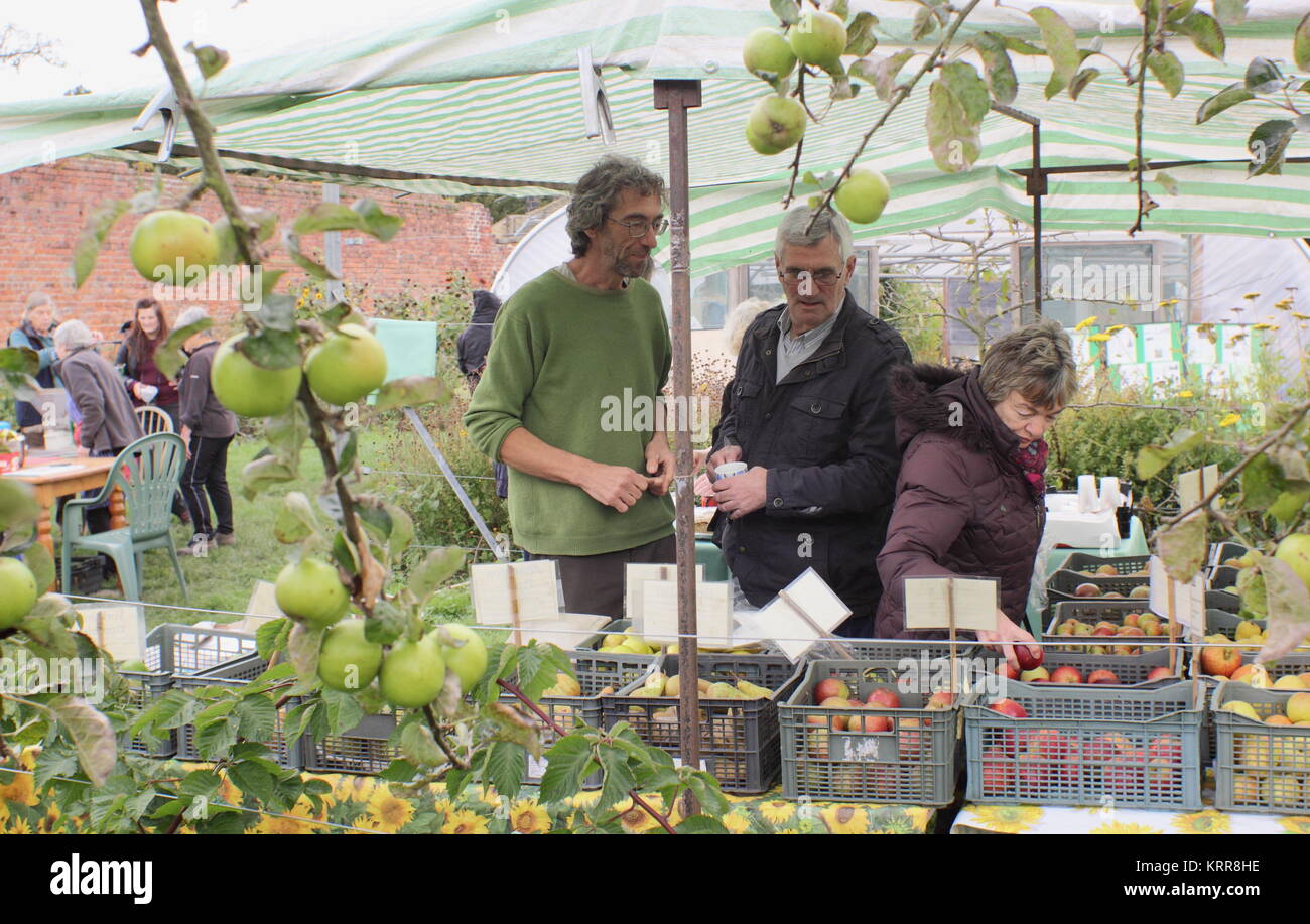 Wortley hall hi-res stock photography and images - Alamy