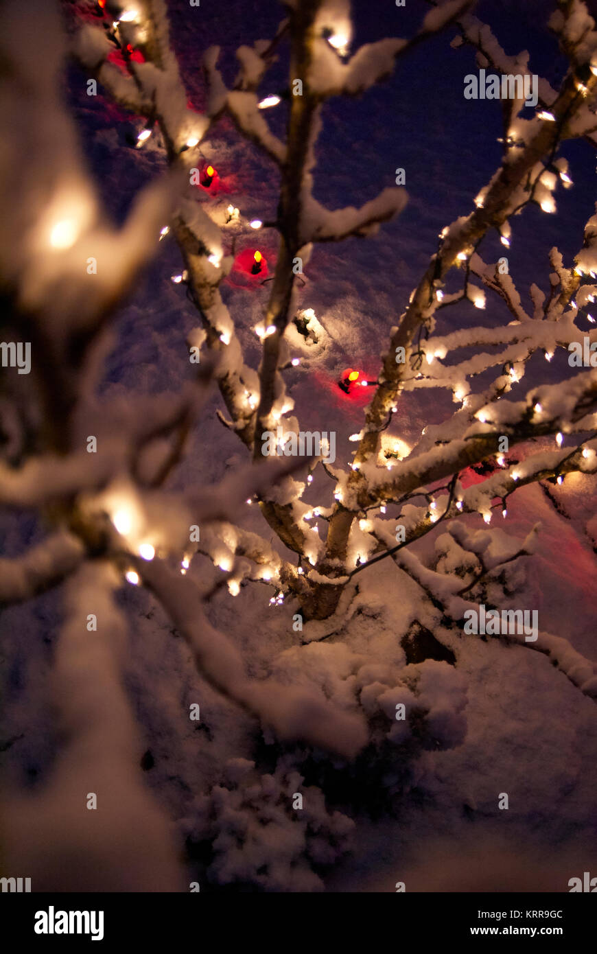 christmas lights in the snow Stock Photo - Alamy