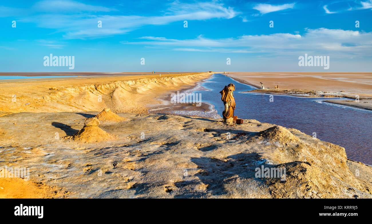 Chott el Djerid, an endorheic salt lake in Tunisia Stock Photo - Alamy