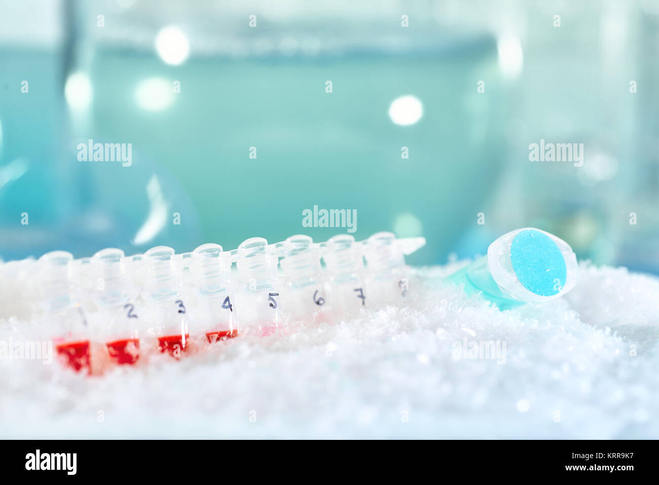 Tubes for DNA amplification by PCR on ice, molecular genetics or ...