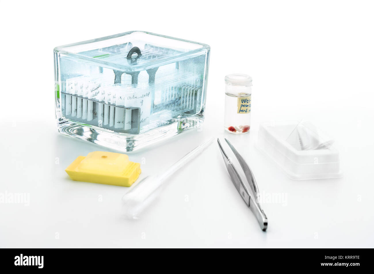 Biopsy sample block hi-res stock photography and images - Alamy