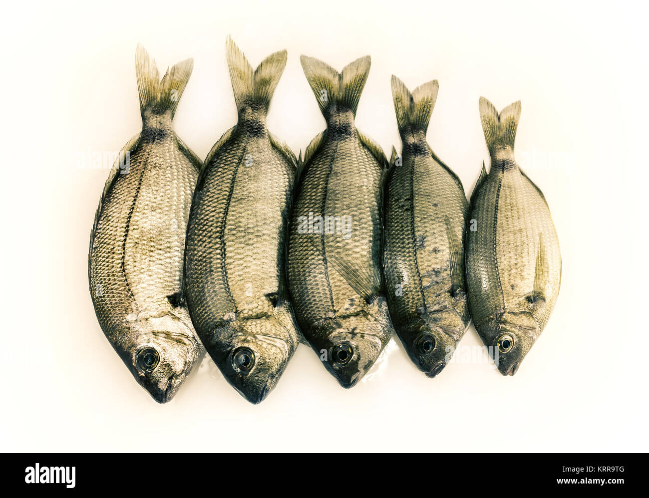 Doradas hi-res stock photography and images - Alamy