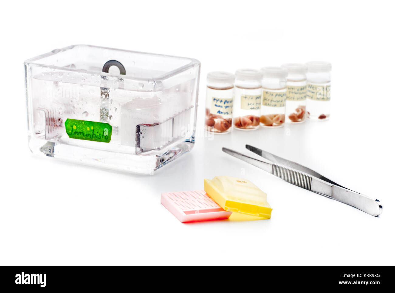 Tools for histochemical analysis of patient tissue (fixed tissue ...