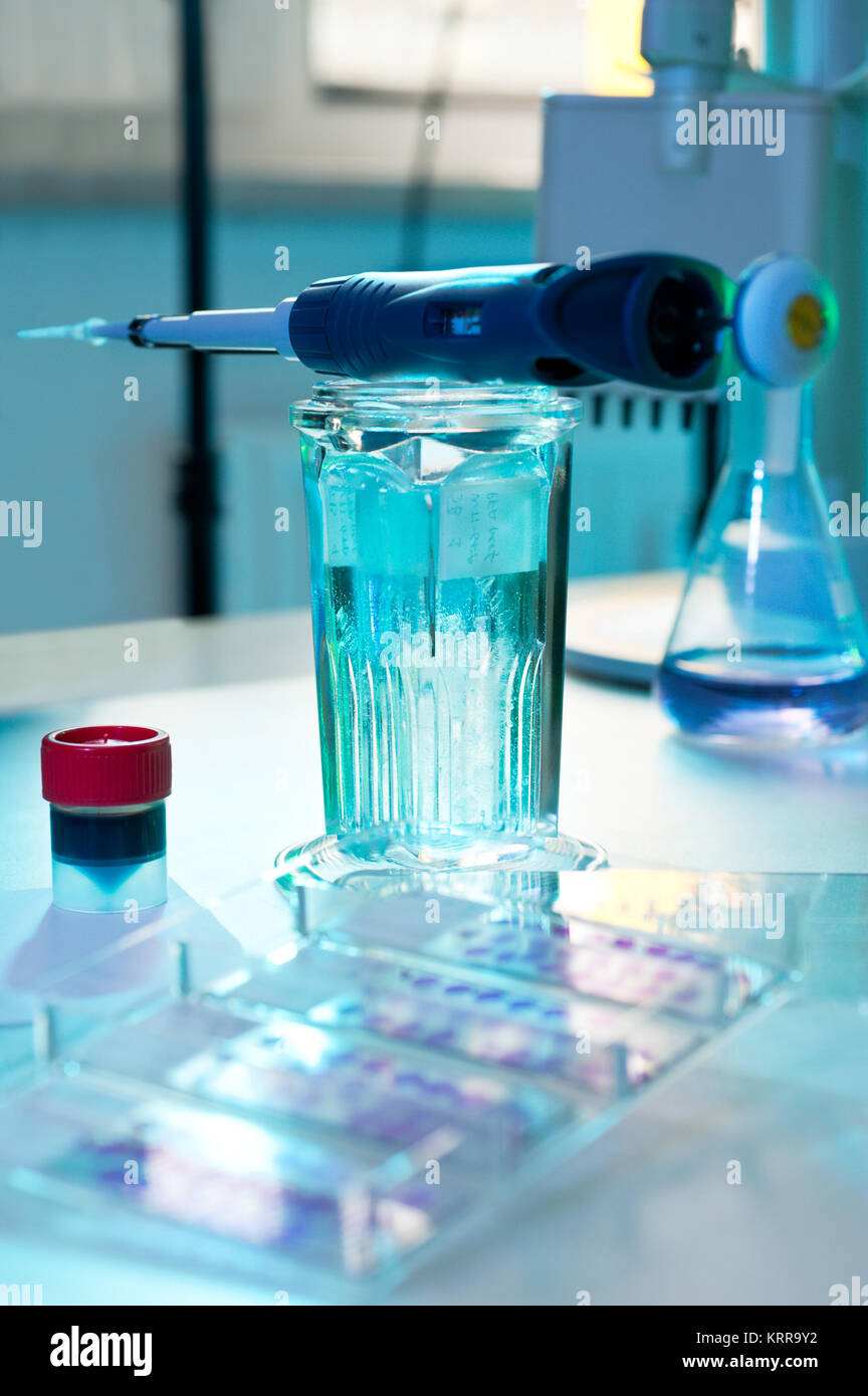 Histochemical staining of tissue samples. Automatic pipette, dye and ...