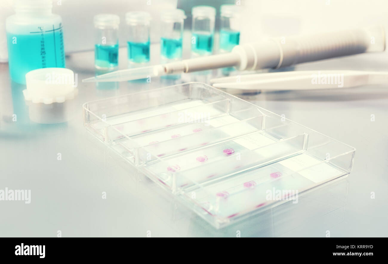 Blurred background for histopathology-related design. Tissue sections ...
