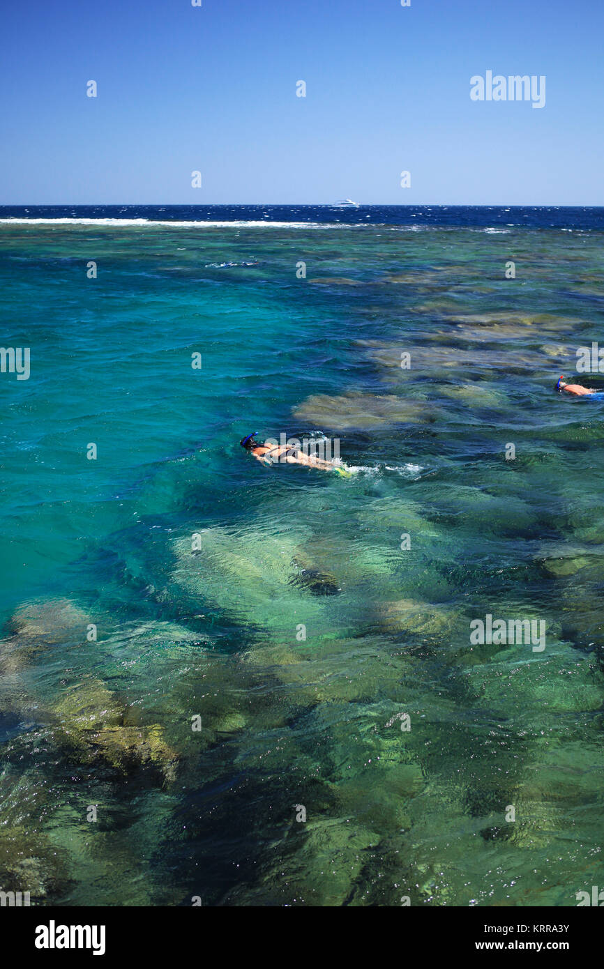 Egypt red sea coral reef hi-res stock photography and images - Alamy