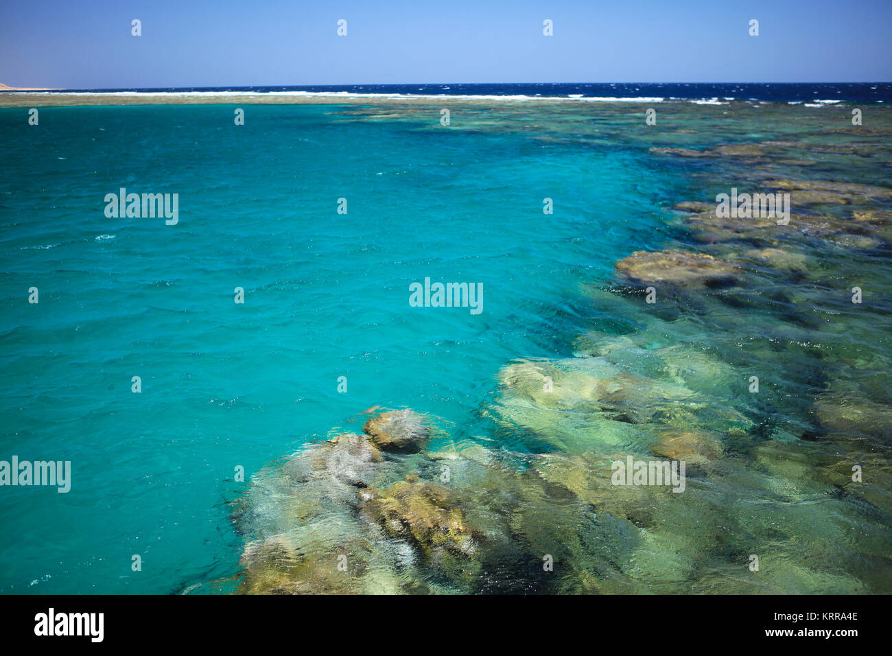 Egypt red sea coral reef hi-res stock photography and images - Alamy