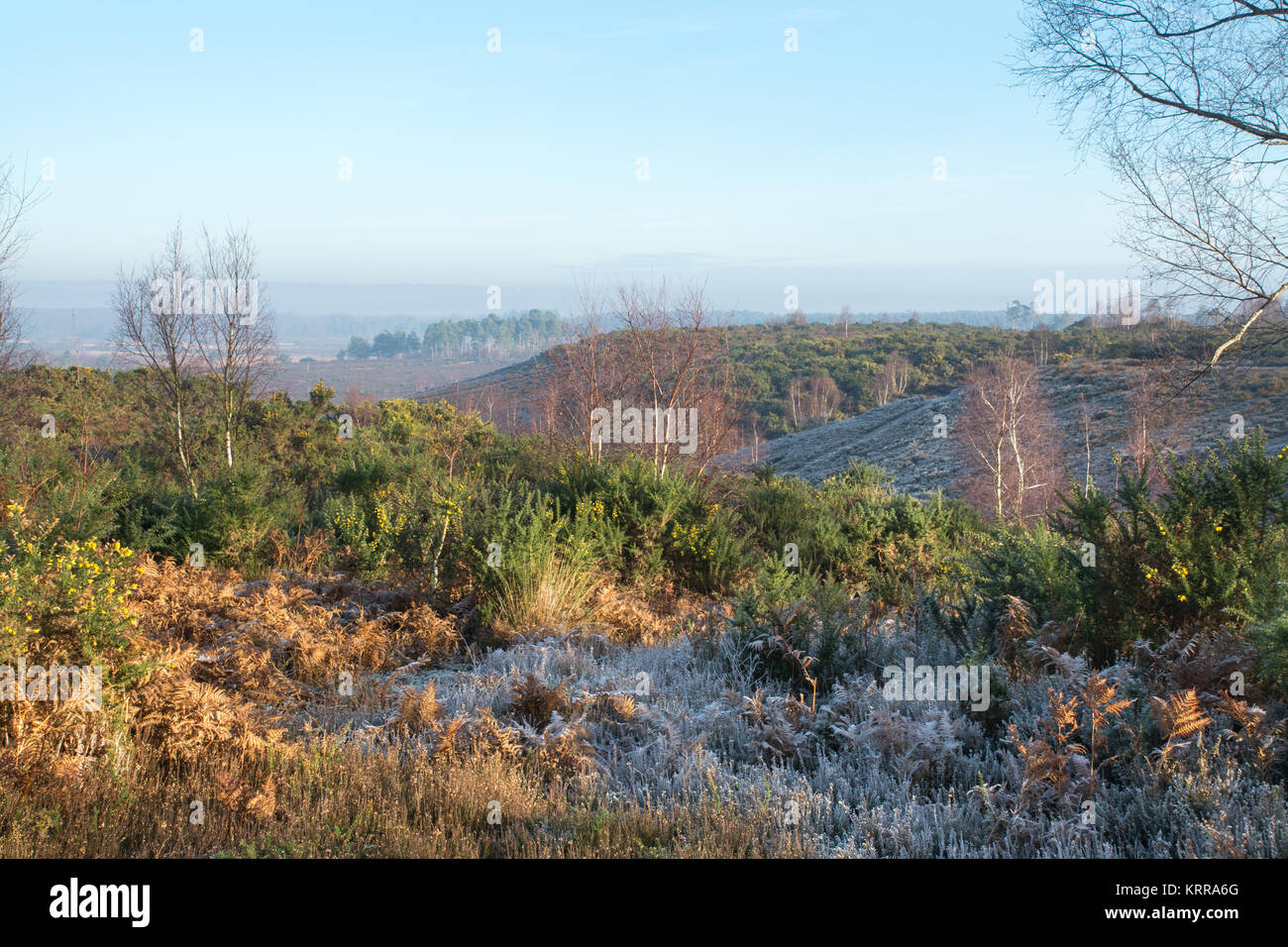 Thursley common national nature reserve hi-res stock photography and ...