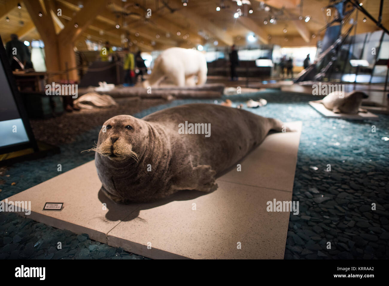 Svalbard Museum High Resolution Stock Photography and Images - Alamy