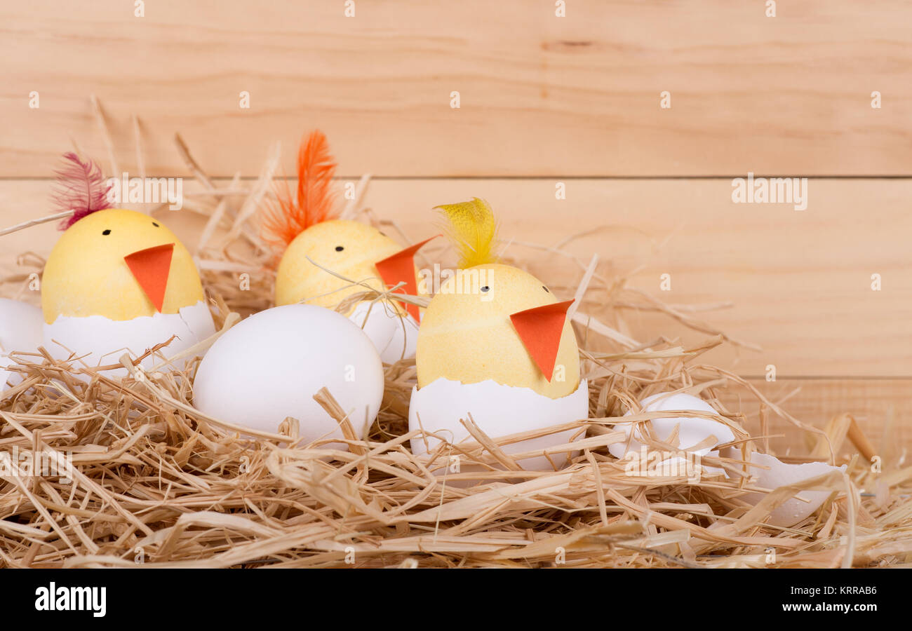 Decorated Easter eggs to look like hatching chicks Stock Photo - Alamy