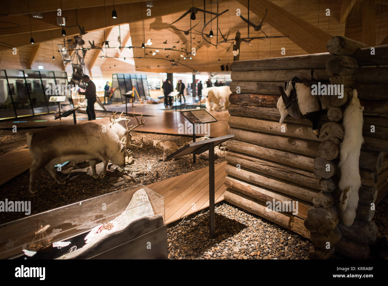 Svalbard exhibits hi-res stock photography and images - Alamy