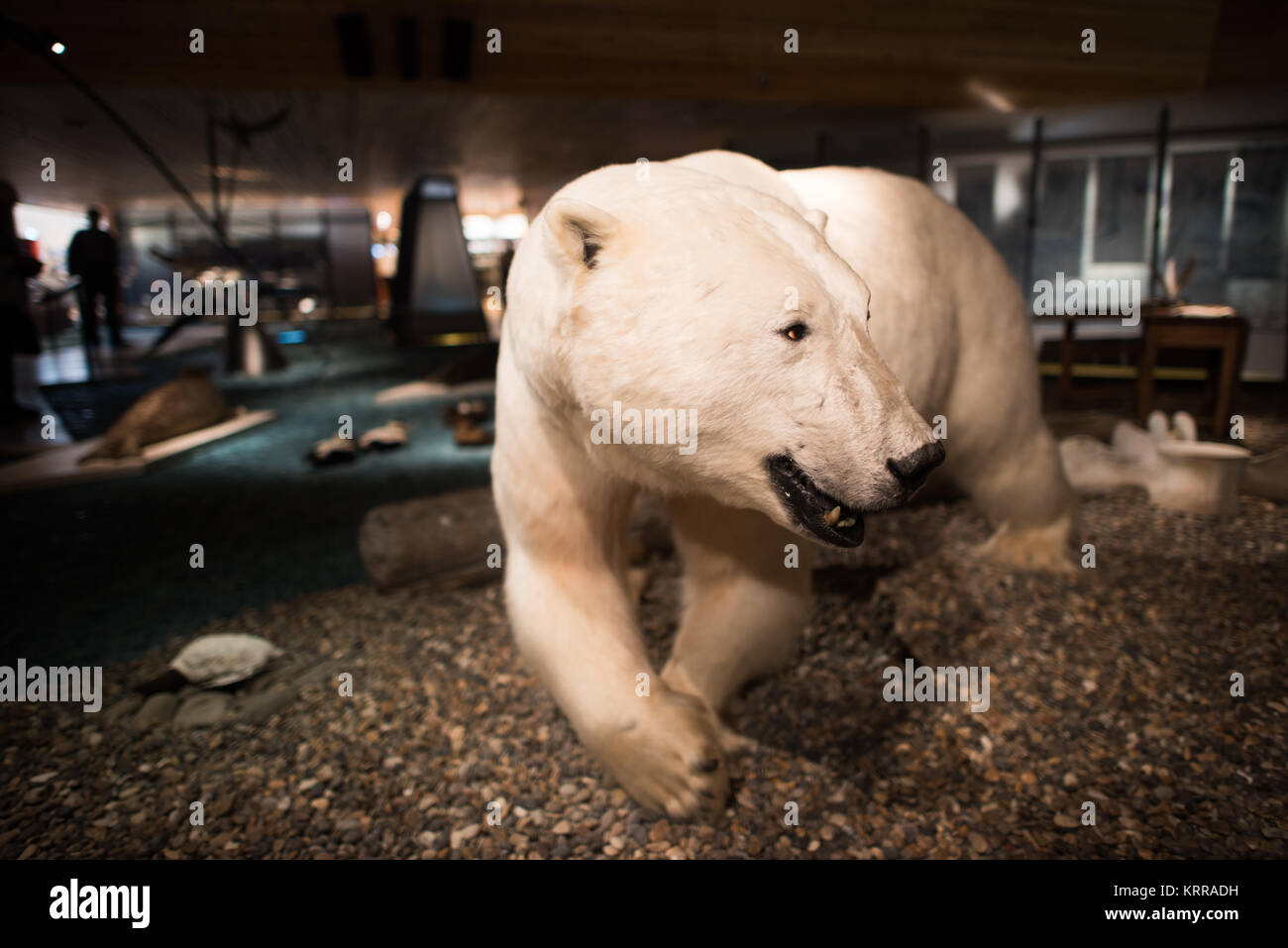 Svalbard museums hi-res stock photography and images - Alamy
