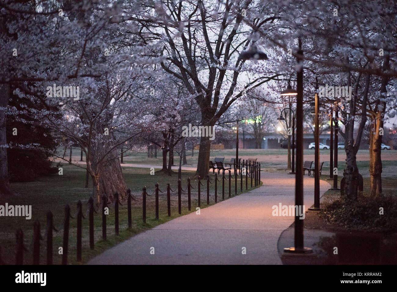Fdr memorial cherry blossoms hi-res stock photography and images - Alamy