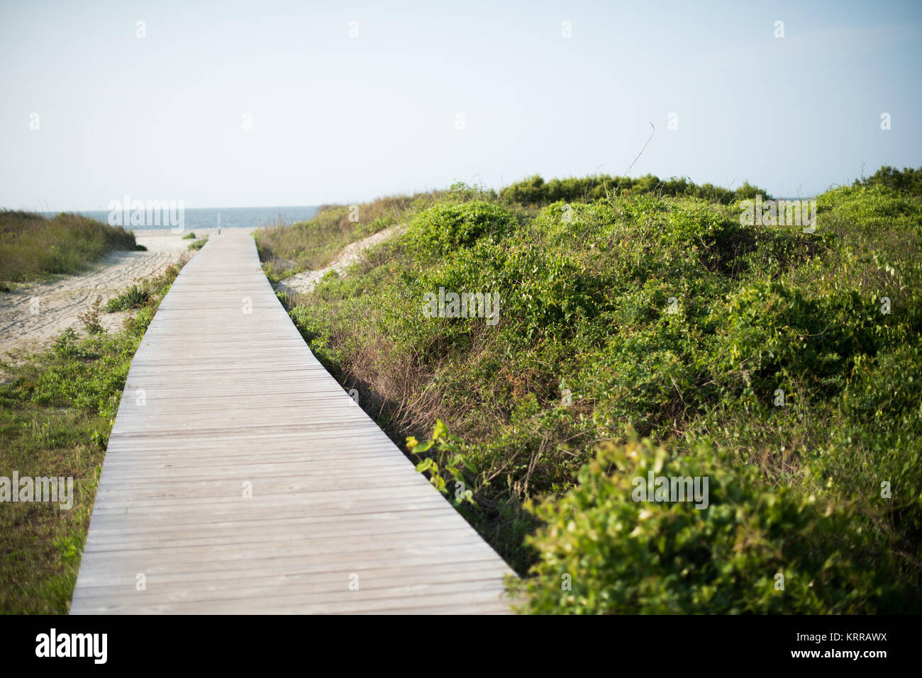 Boardwalk To Beach Sullivan's Island South Carolina // SULLIVAN'S ...