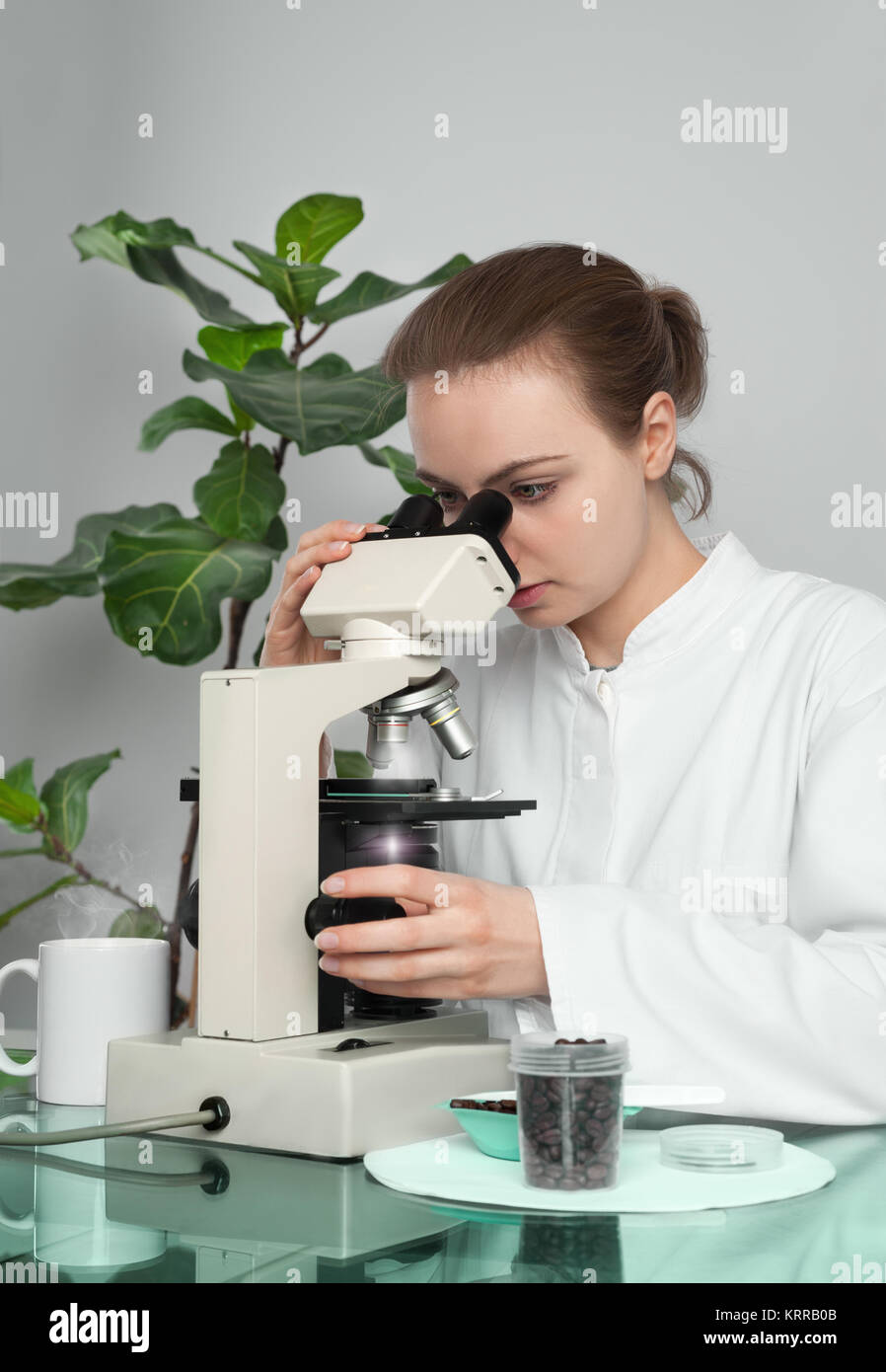 Portrait of female scientist looking under microscope and coffee bean ...