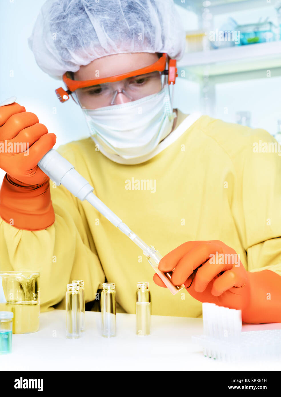 Young microbiologist works with bacterial cultures in the lab Stock ...