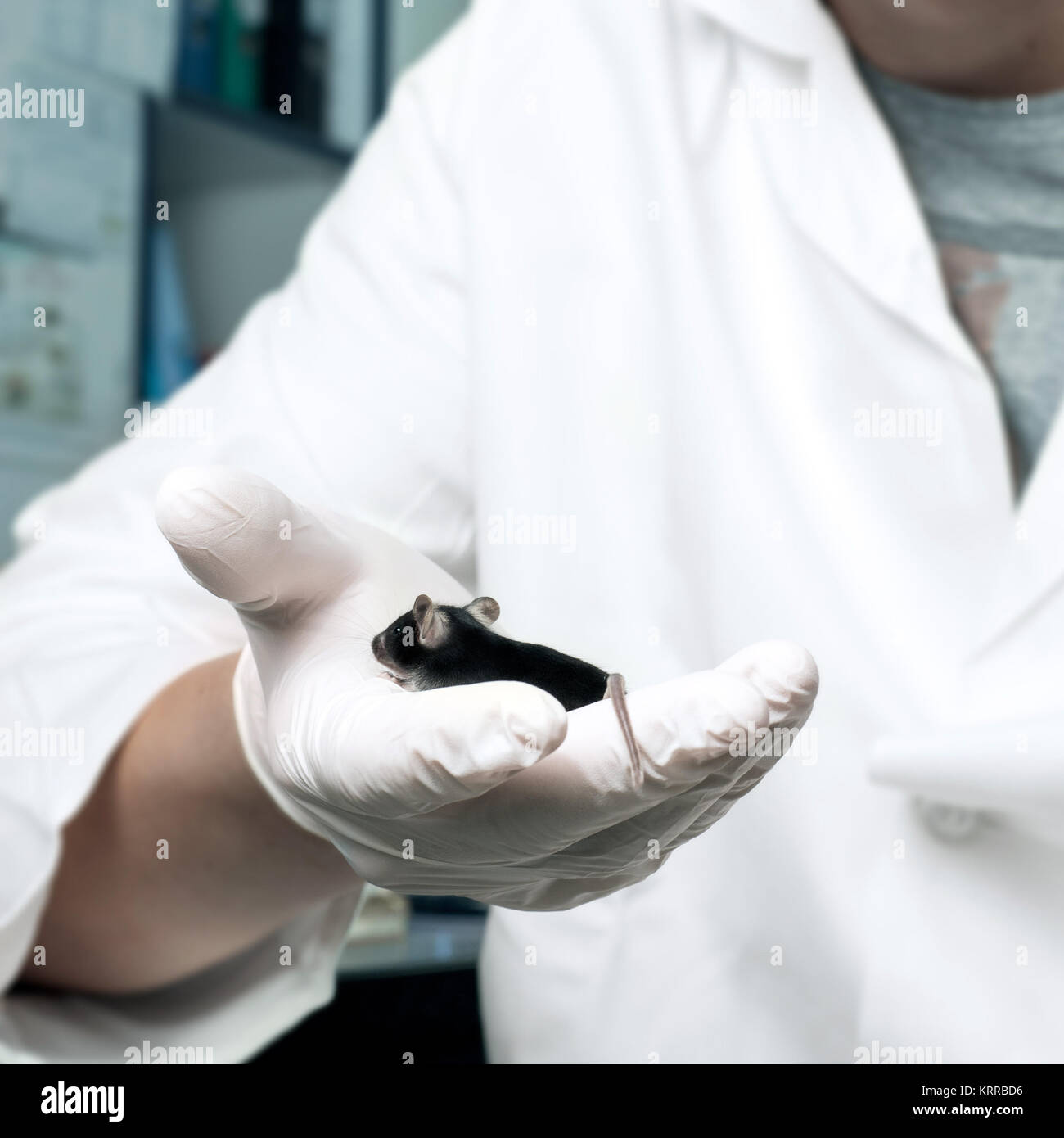 Gloved hand holding mouse hi-res stock photography and images - Alamy