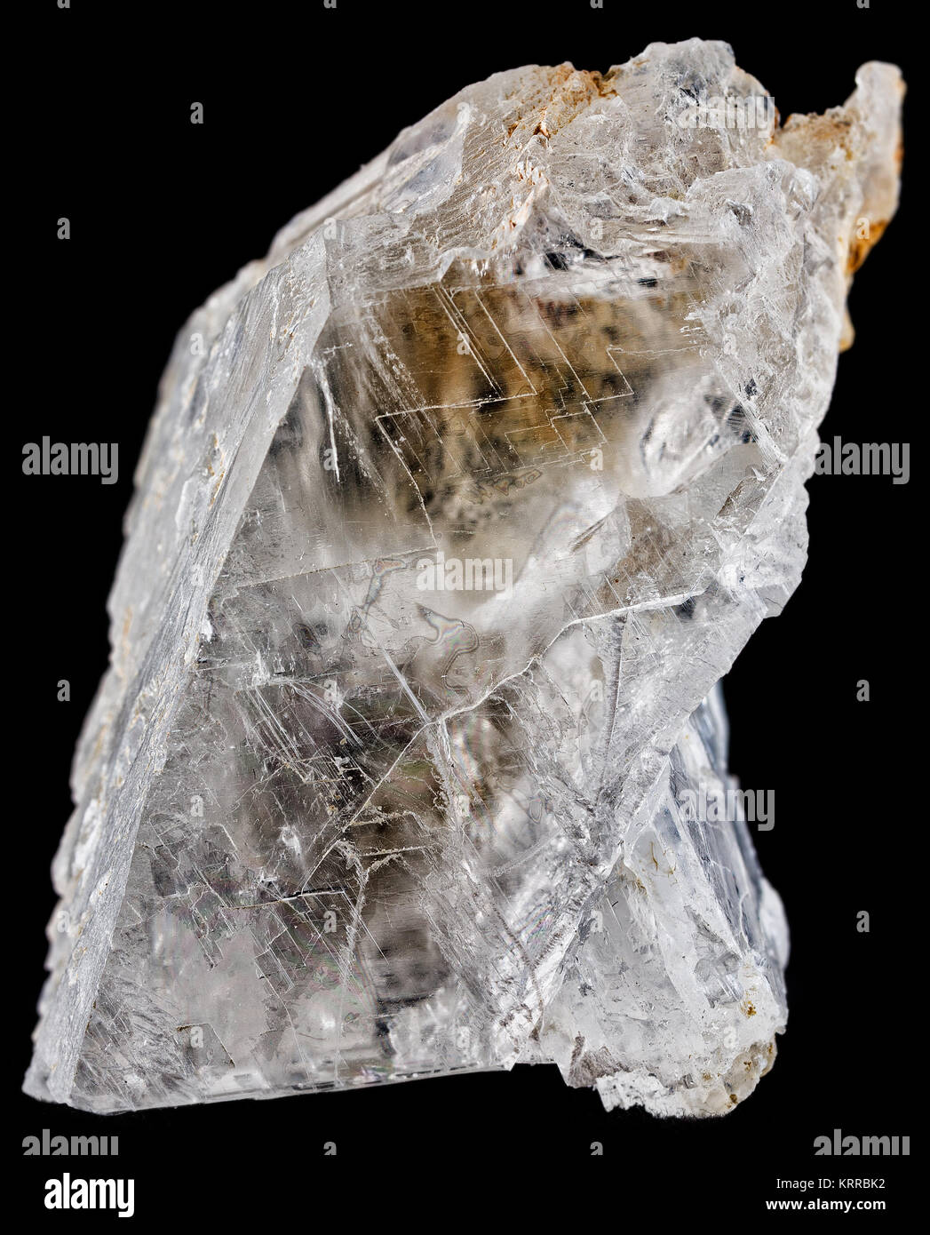 Enfoque vertical hi-res stock photography and images - Alamy