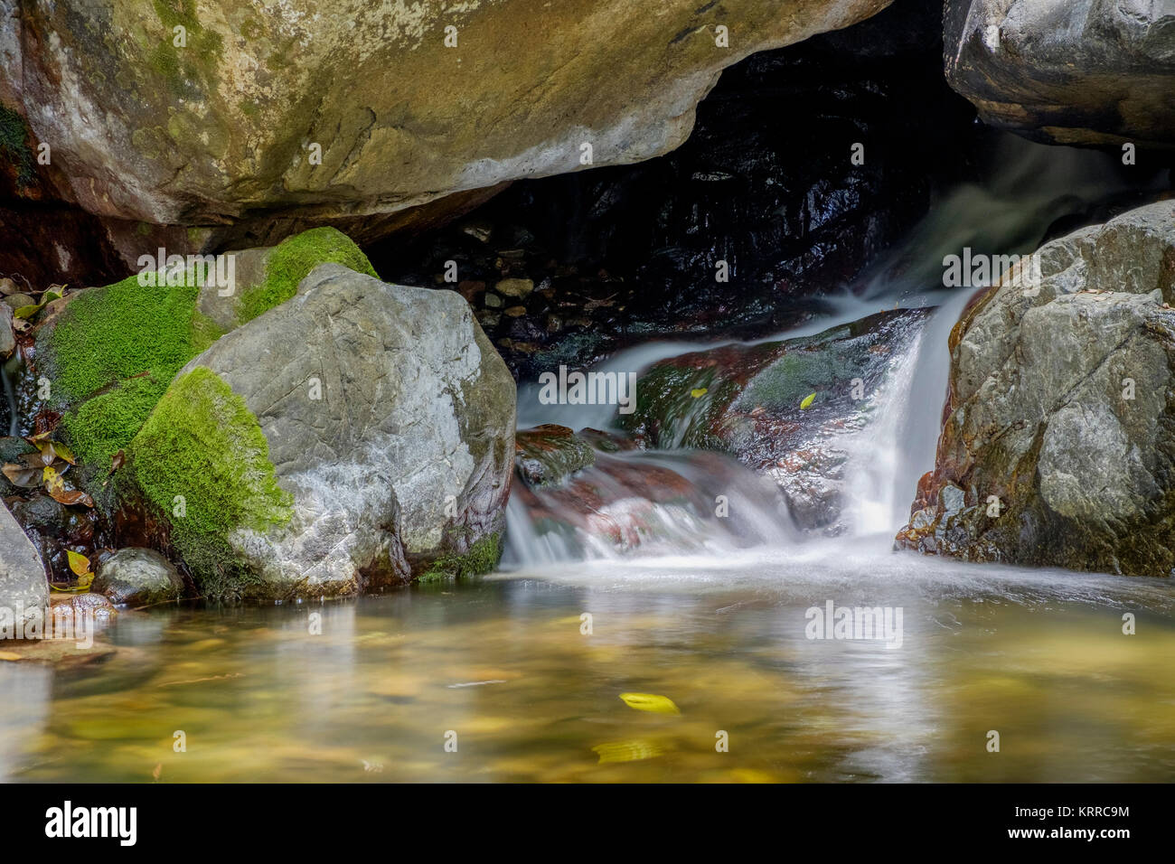 At Little Crystal Creek - Paluma Range National Park Stock Photo - Alamy