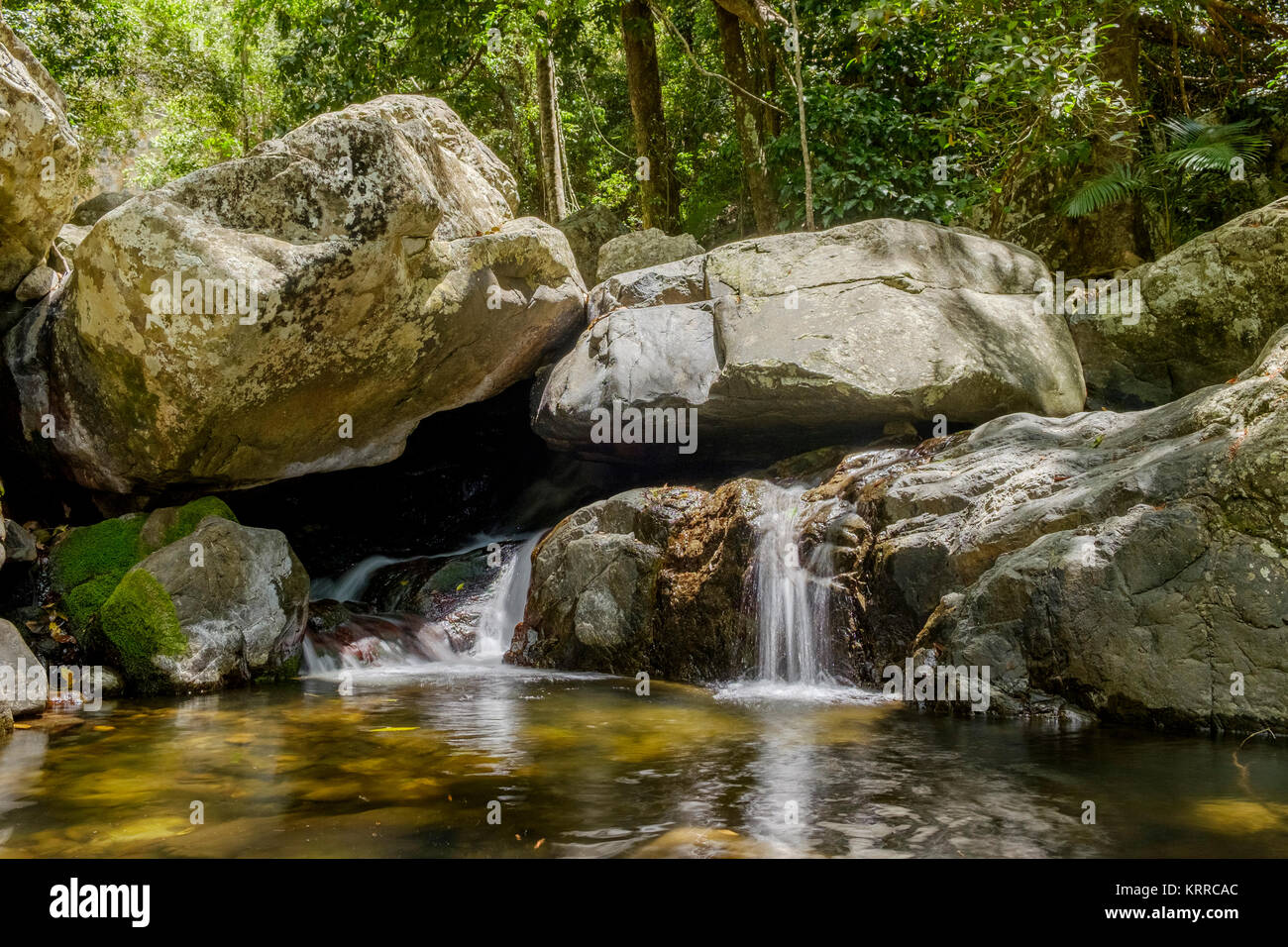 At Little Crystal Creek - Paluma Range National Park Stock Photo - Alamy