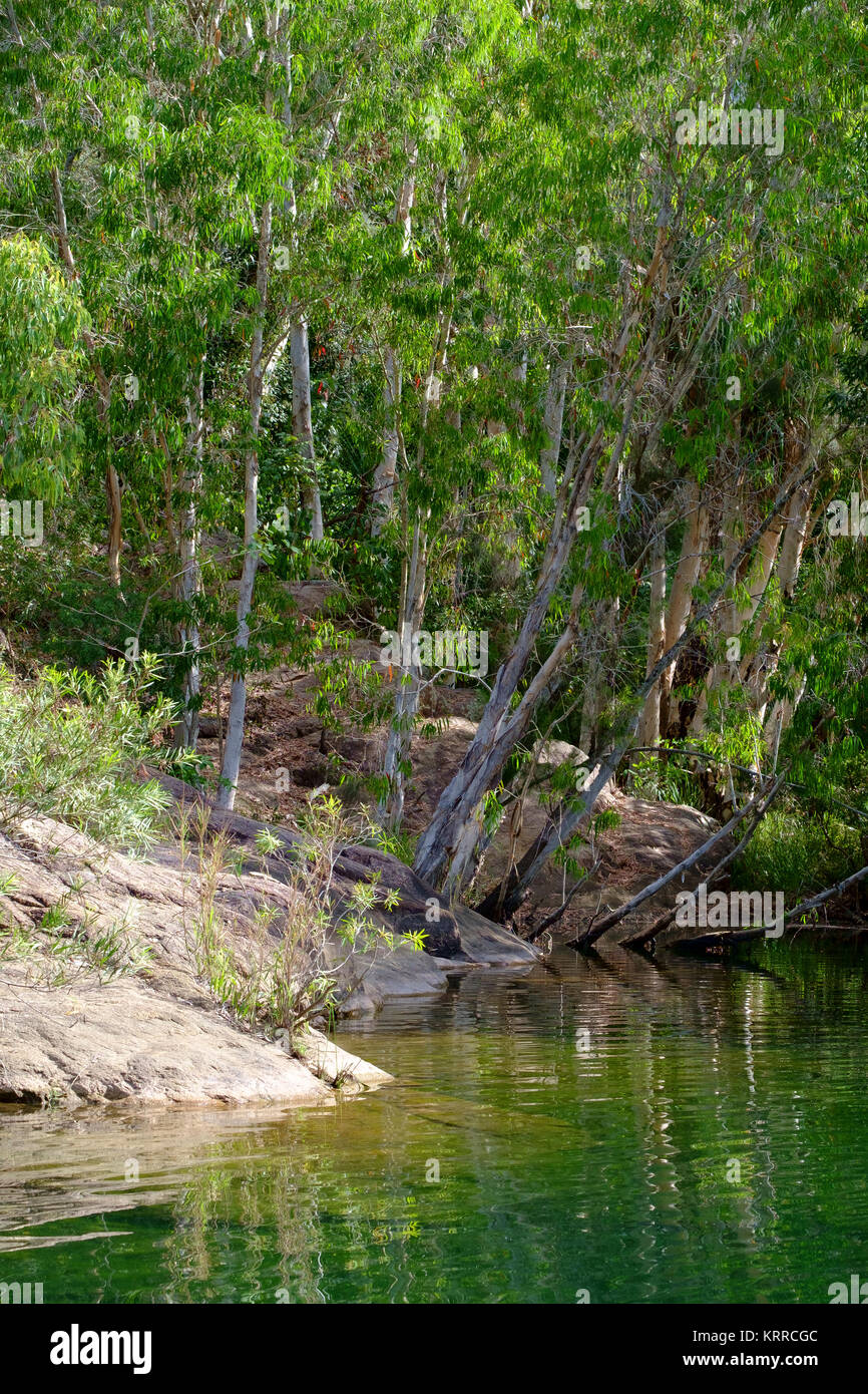 At Paradise Waterhole -Paluma Range National Park Stock Photo - Alamy