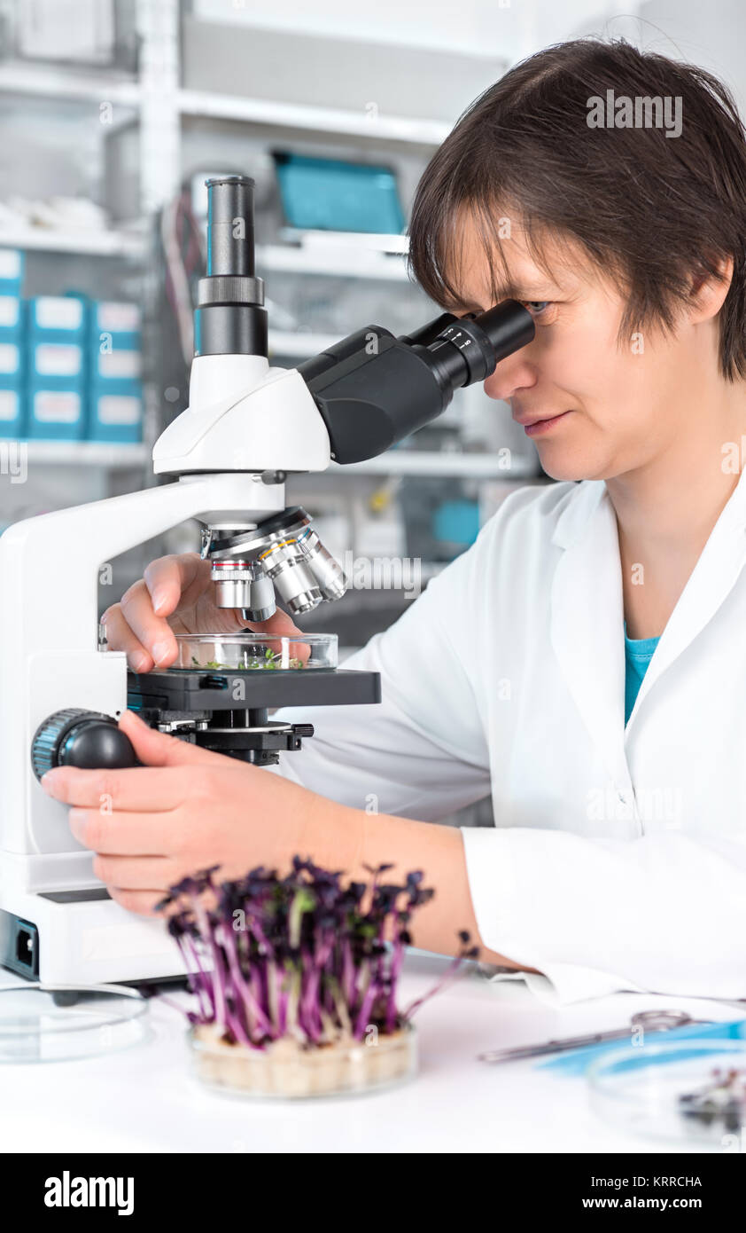 Observation under microscope hi-res stock photography and images - Alamy