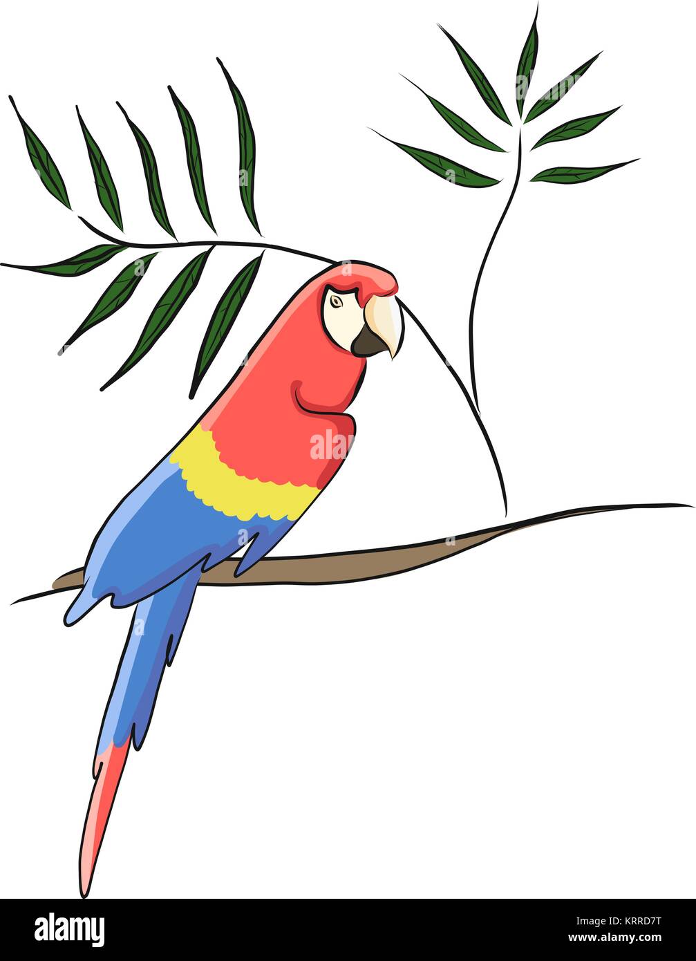 Clip art tropical parrot, vector Stock Vector Image & Art - Alamy
