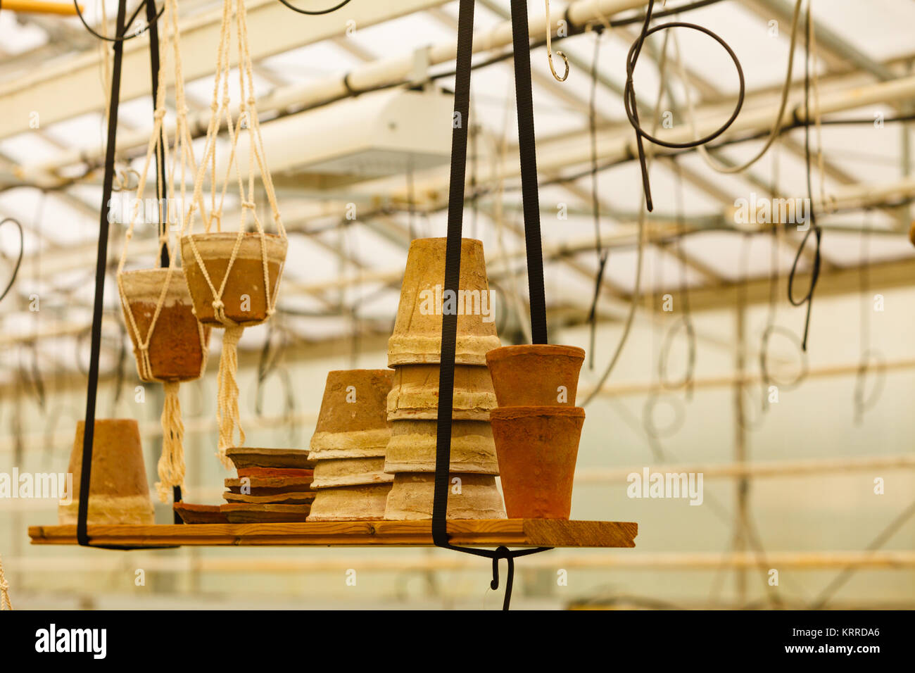Flower market concept. Ceramic pots standing on shelf hung from ceiling ...