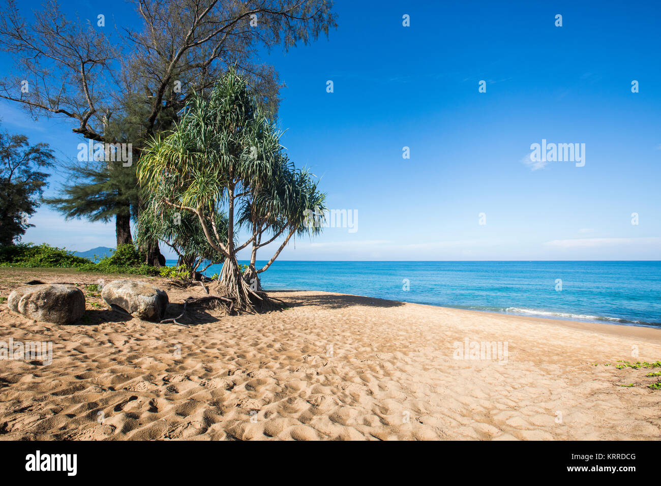 View of beach during daytime Stock Photo - Alamy