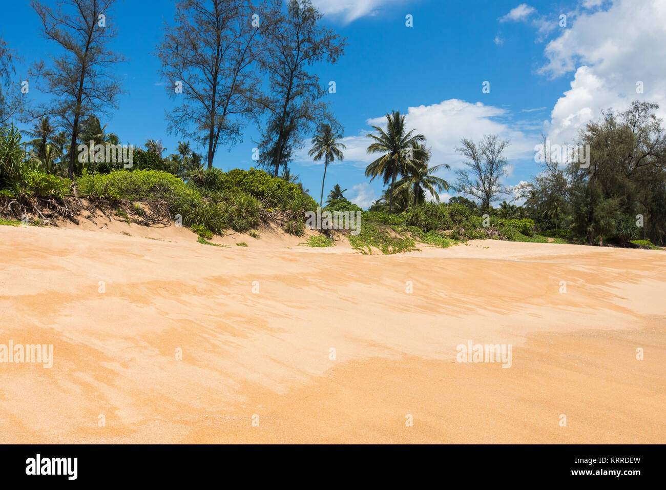 View of beach during daytime Stock Photo - Alamy