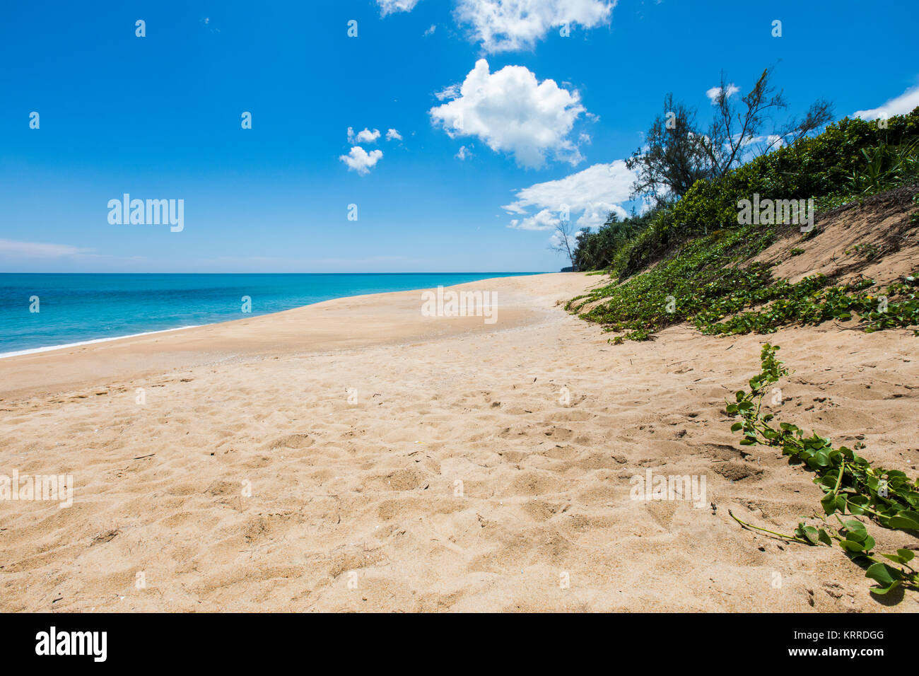 View of beach during daytime Stock Photo - Alamy